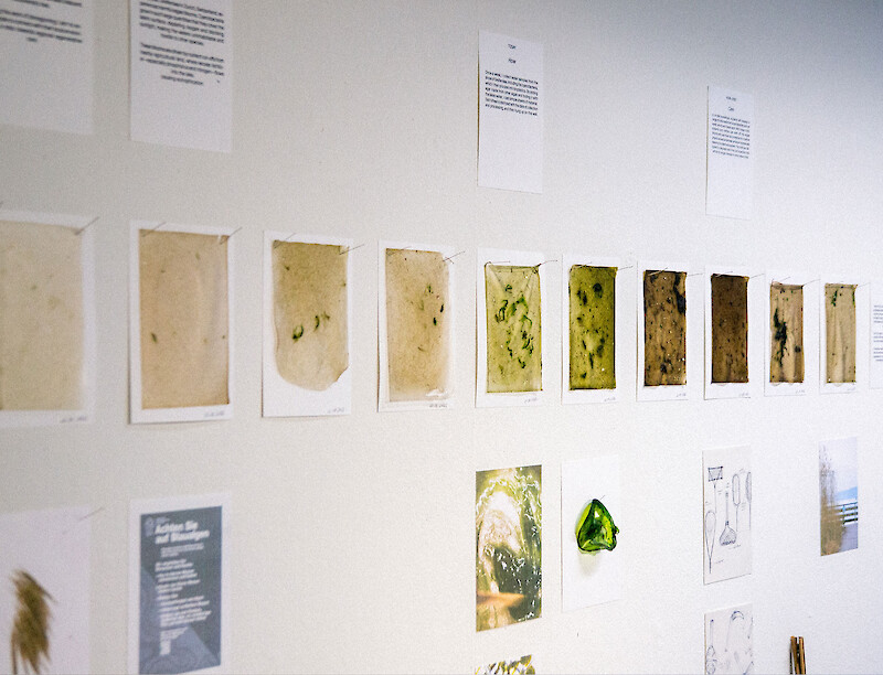 Bioregional Curriculum – Interaction Design ZHdK